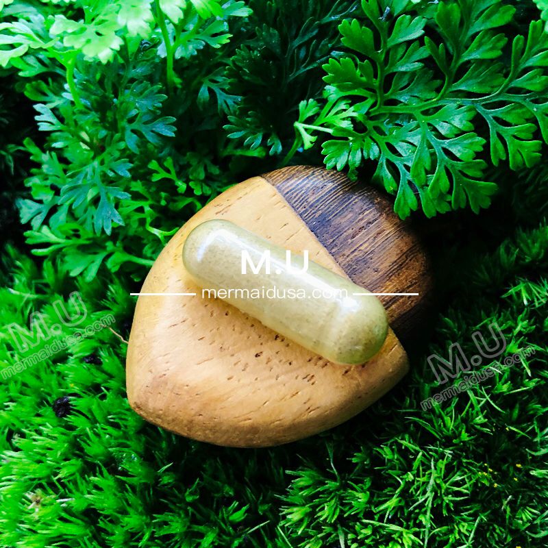 Boost Your Brainpower with Natural Supplements – MERMAID USA